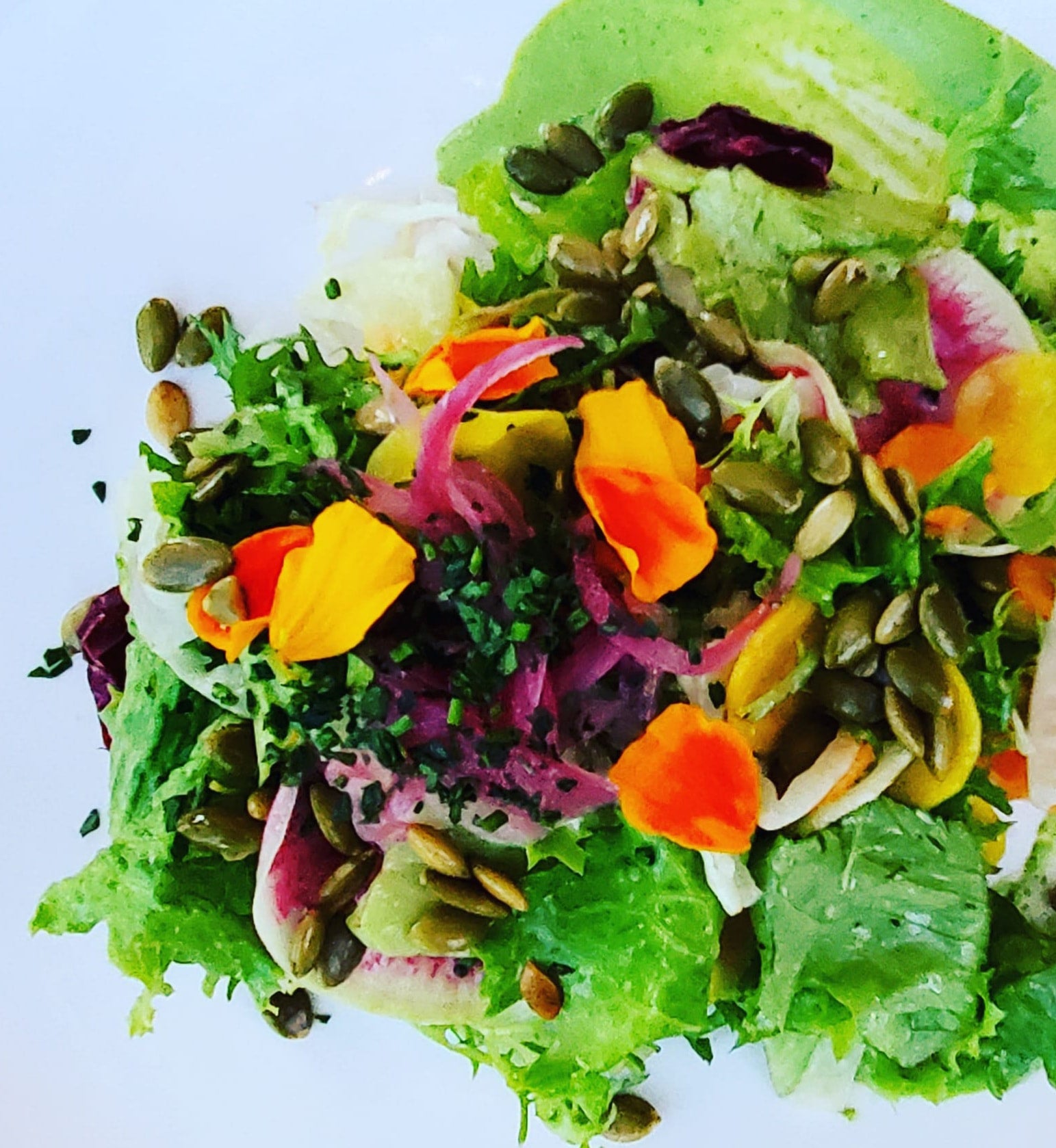 Family Farm Salad | Farm & Table