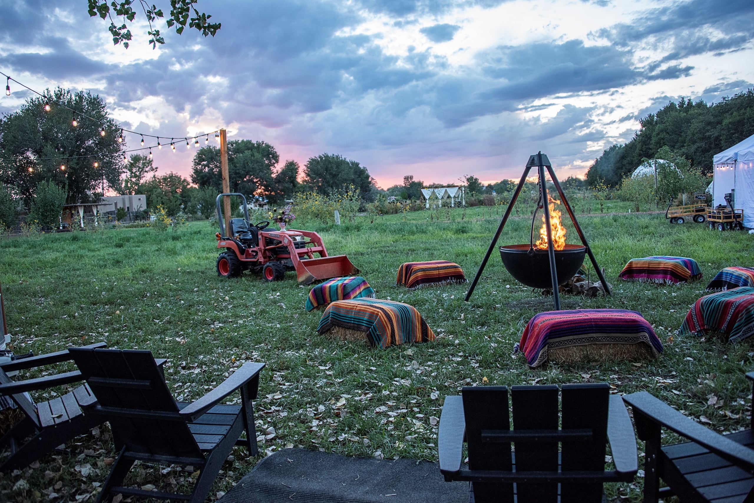 10 Straw Bales with Blankets | Farm & Table